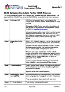Appendix 2: Safeguarding Adults Review (SAR) Process