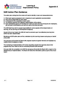 Appendix 8 – SAR Action Plan